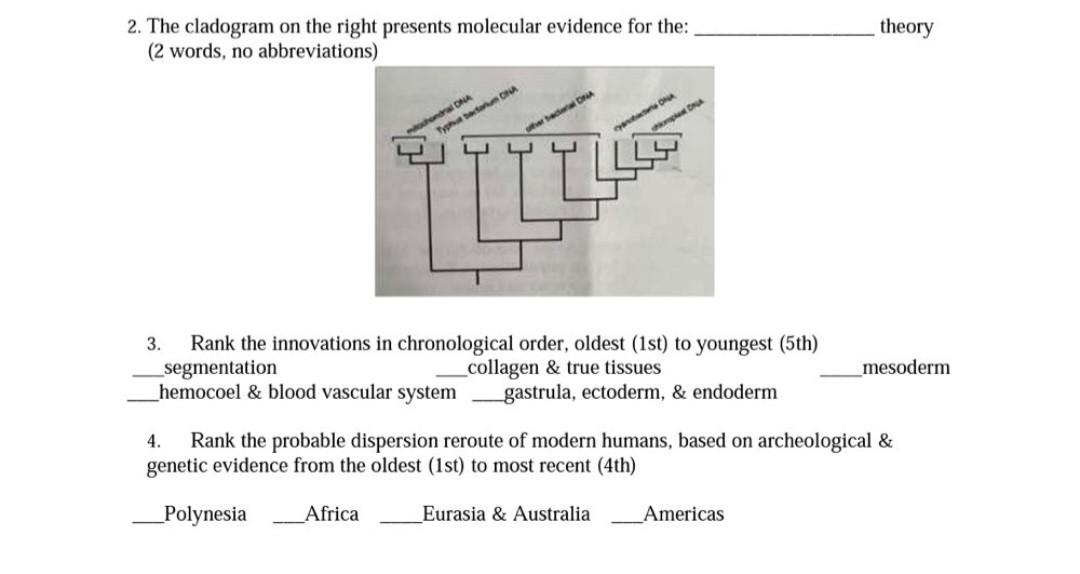 Solved 2. The cladogram on the right presents molecular | Chegg.com