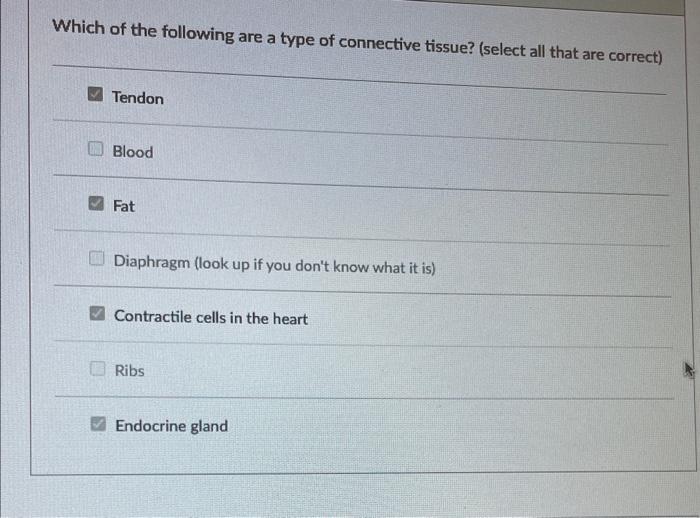 Solved Which of the following are a type of connective | Chegg.com