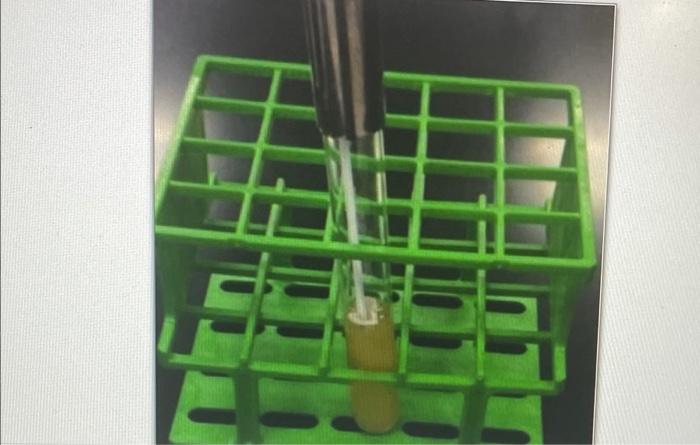 Solved 3. The cotton swab was inserted to a snyder tube and | Chegg.com