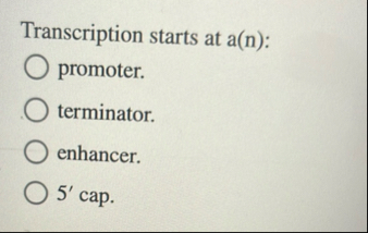 Solved Transcription starts at | Chegg.com