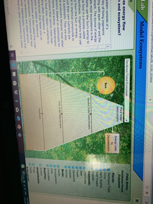 L. Dustige bib/virtual_labs/BL_02/BL_02.html Lab | Chegg.com