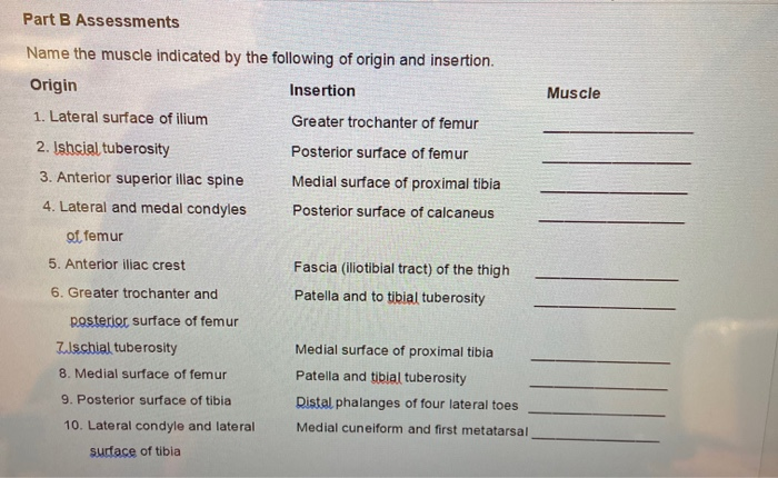 Solved Part B Assessments Name the muscle indicated by the | Chegg.com