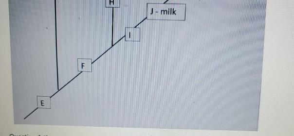 Solved Use the following table to construct a cladogram. The | Chegg.com