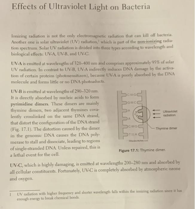 Solved Effects of Ultraviolet Light on Bacteria Ionizing | Chegg.com