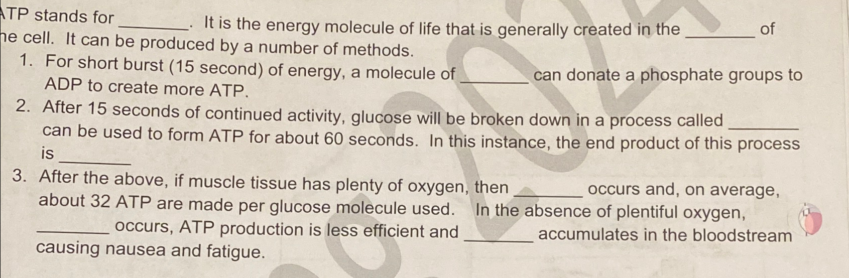 Solved ATP stands for It is the energy molecule of life that | Chegg.com