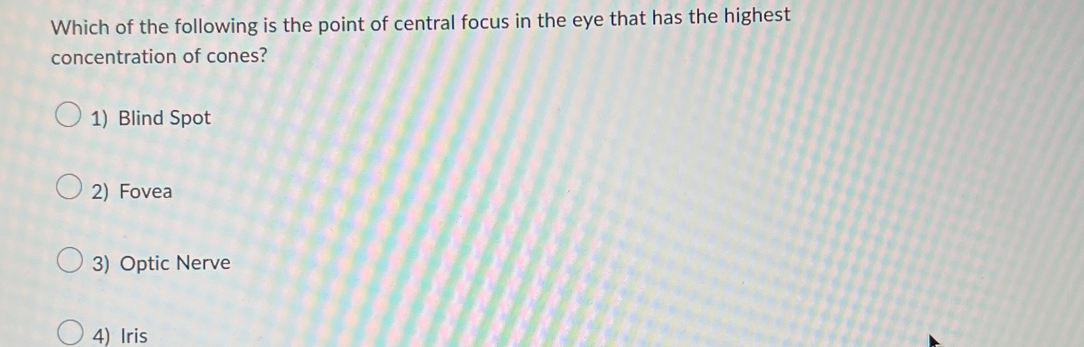 Solved Which of the following is the point of central focus | Chegg.com