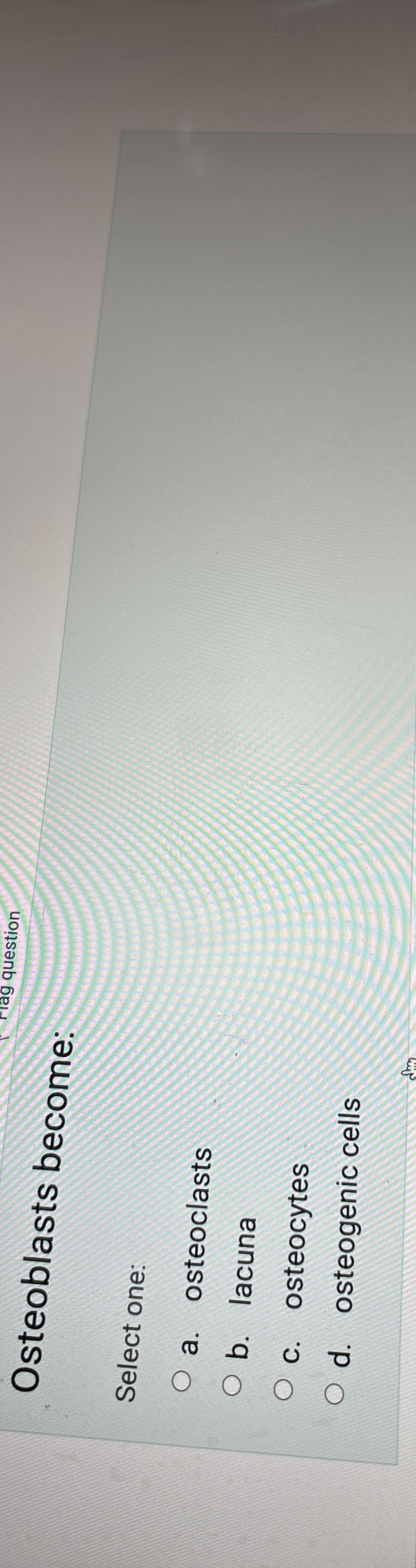 Solved Osteoblasts become:Select one:a. ﻿osteoclastsb. | Chegg.com