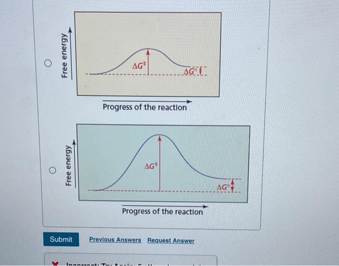 Solved the product is thermodynamically unstable and | Chegg.com