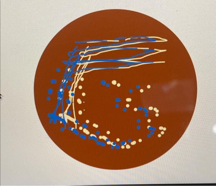 Please help with filling this out !!!red plate-CNA | Chegg.com