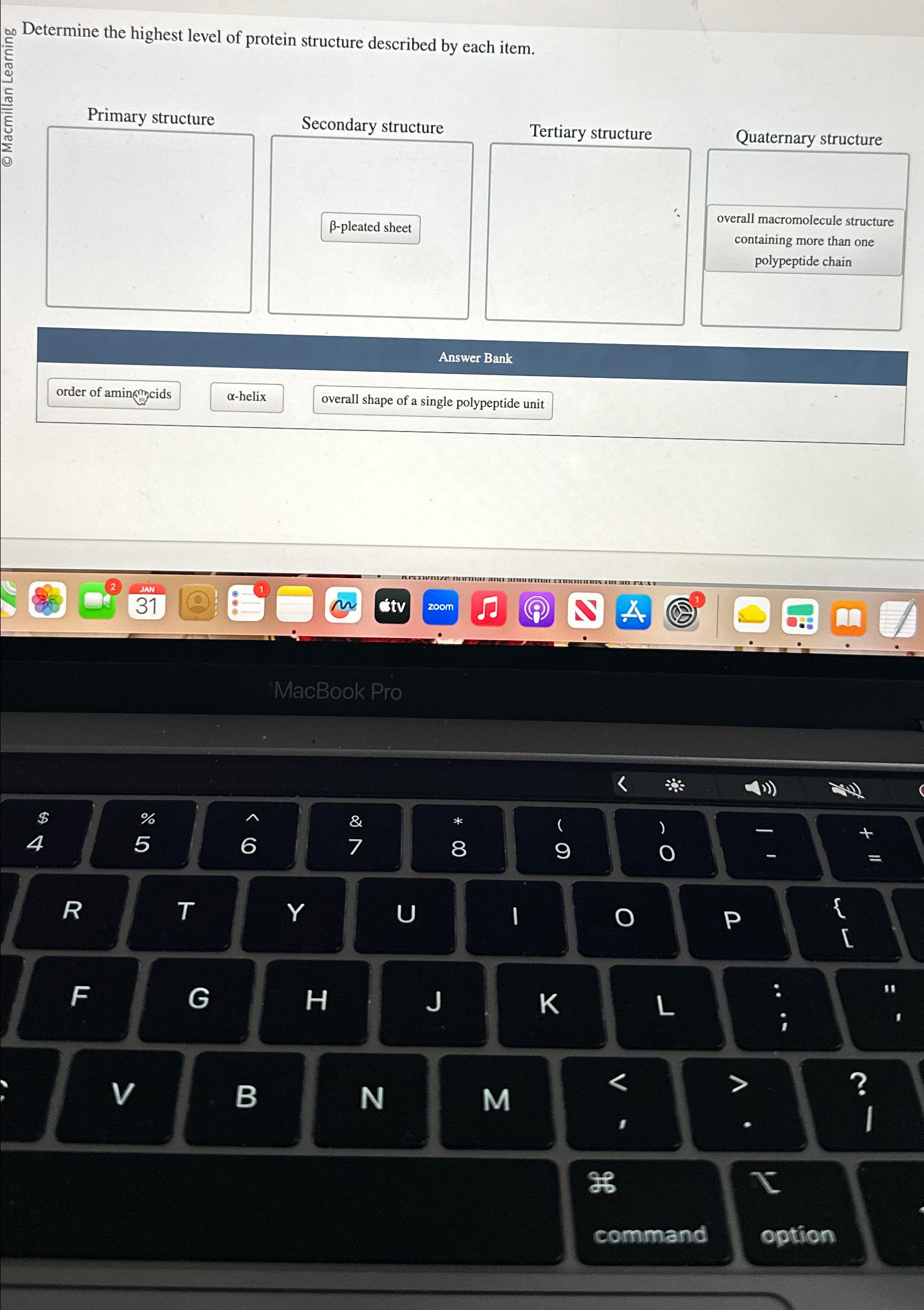 Solved Dotermine the highest level of protein structure | Chegg.com