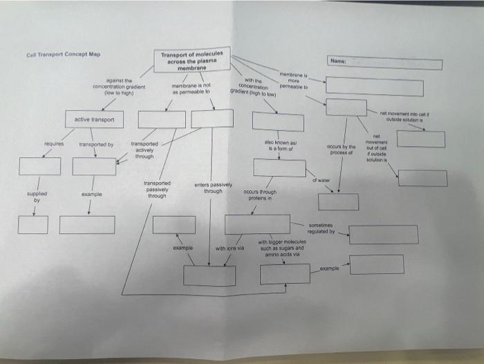 Use the word list below to fill in the concept map on | Chegg.com