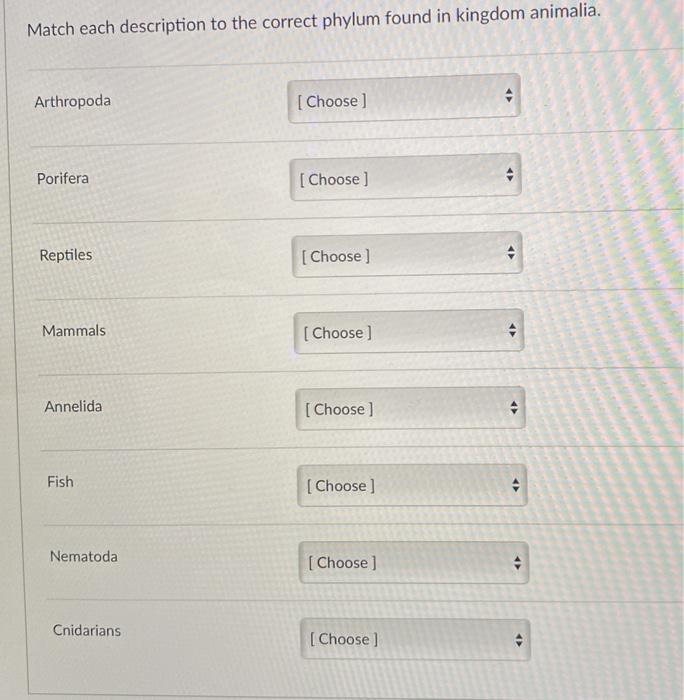Match each description to the correct phylum found in | Chegg.com
