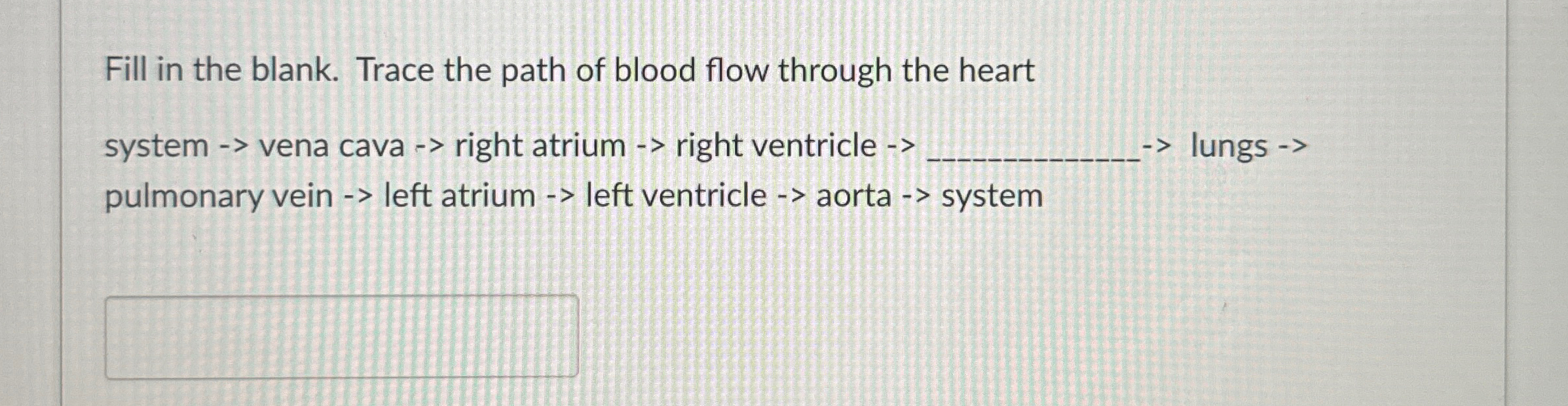 Solved Fill in the blank. Trace the path of blood flow | Chegg.com