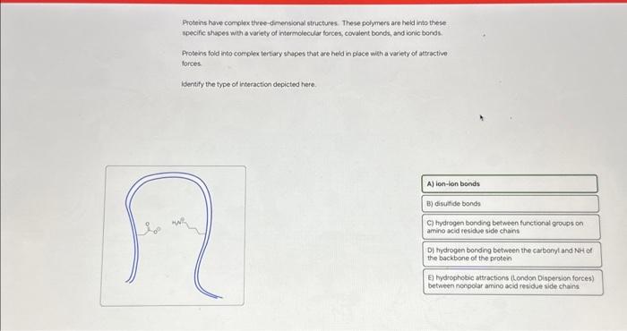 Solved Proteins have complex three-dimenional structures. | Chegg.com