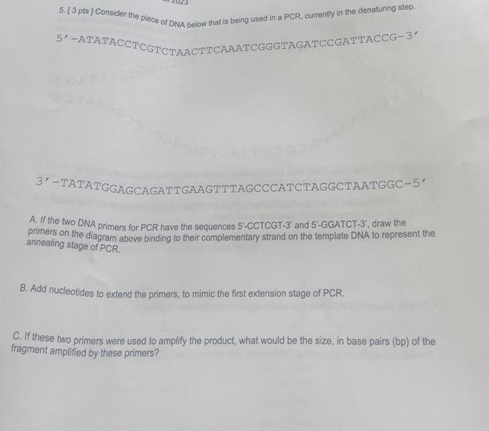 Solved 5. [ 3 pts] Consider the plece of DNA below that is | Chegg.com