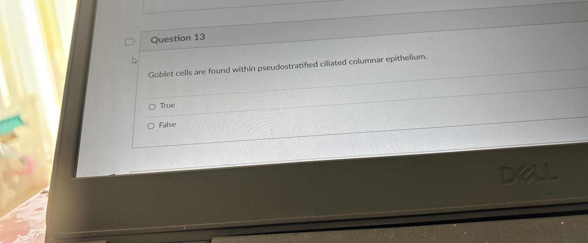 Solved Question 13Goblet cells are found within | Chegg.com