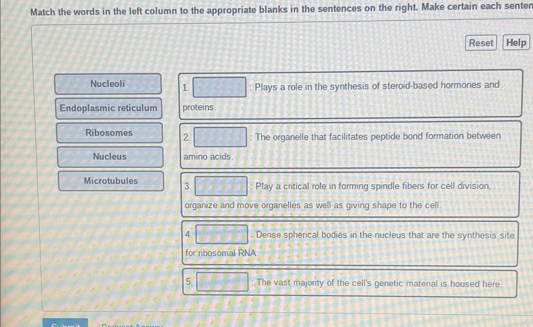Solved Match the words in the left column to the appropriate | Chegg.com