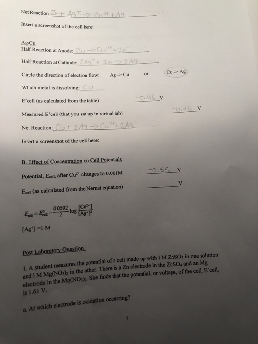 Solved Report Sheet for Virtual Voltaic Cell Measurements be | Chegg.com