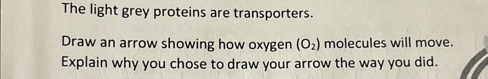 Solved How do o2 ﻿molecules kove across the cell membrane | Chegg.com