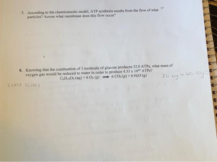 Solved 7. According to the chemiosmotic model, ATP synthesis | Chegg.com