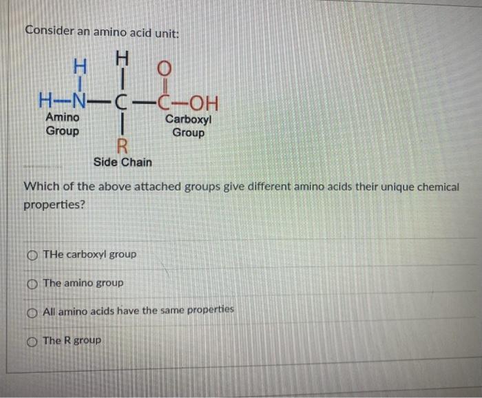 Solved Consider an amino acid unit: Which of the above | Chegg.com