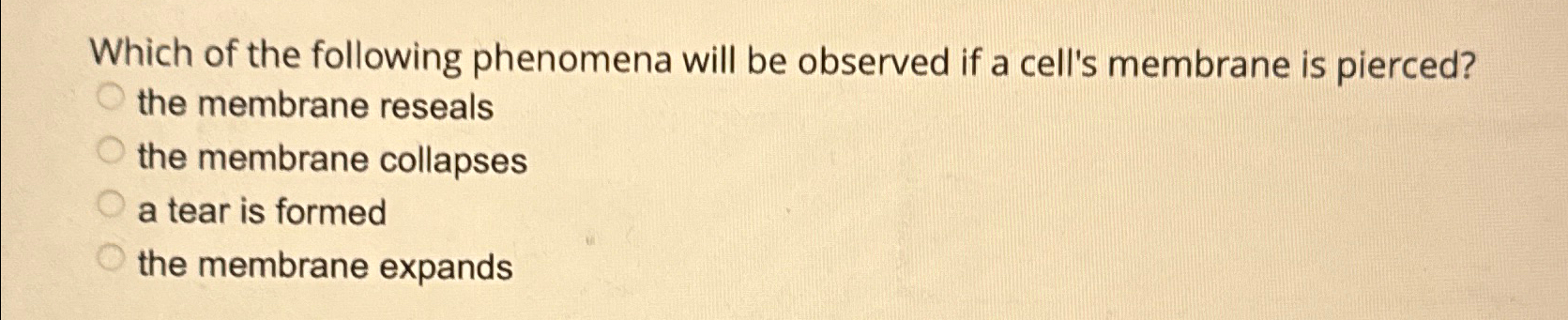 Solved Which of the following phenomena will be observed if | Chegg.com