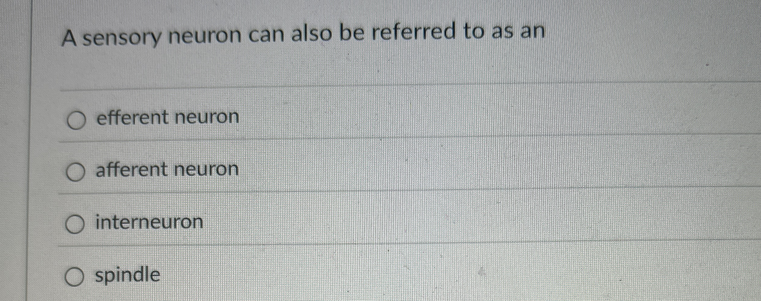 A sensory neuron can also be referred to as | Chegg.com