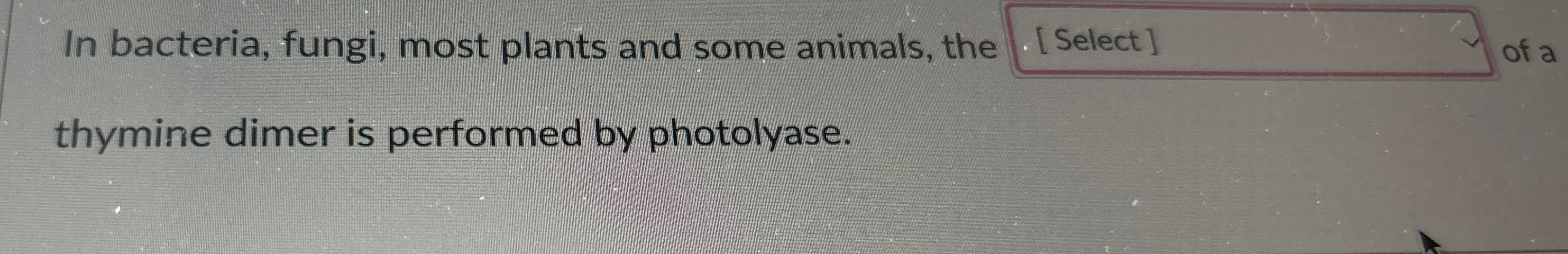 Solved In bacteria, fungi, most plants and some animals, the | Chegg.com