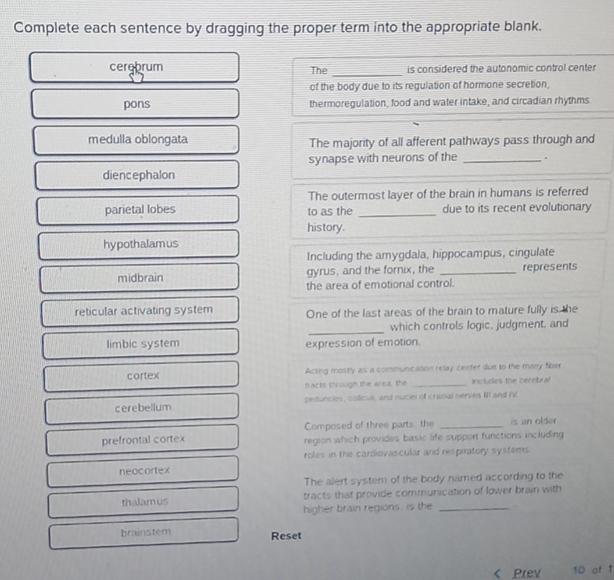 Solved Complete each sentence by dragging the proper term | Chegg.com