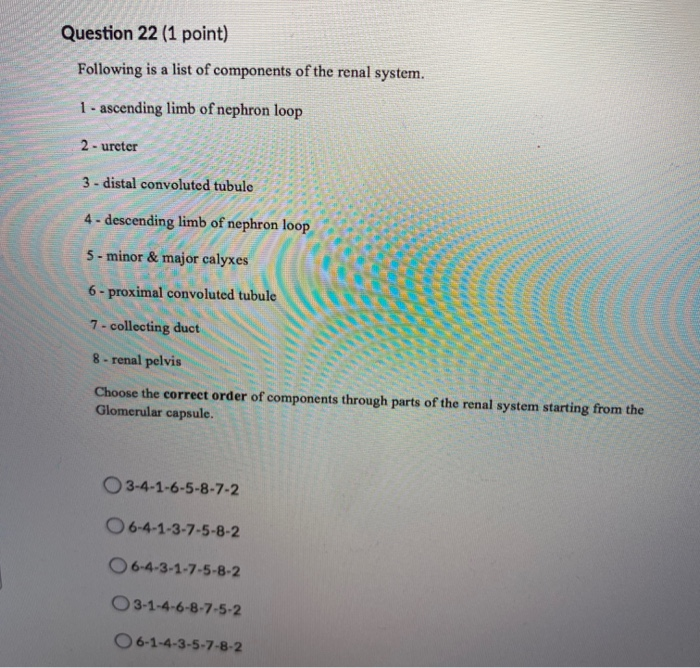 Solved Question 20 (1 point) The micturition (urination) | Chegg.com