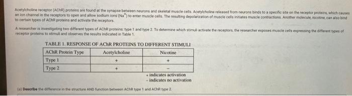 Solved Acetylcholine receptor (ACHR) proteins are found at | Chegg.com