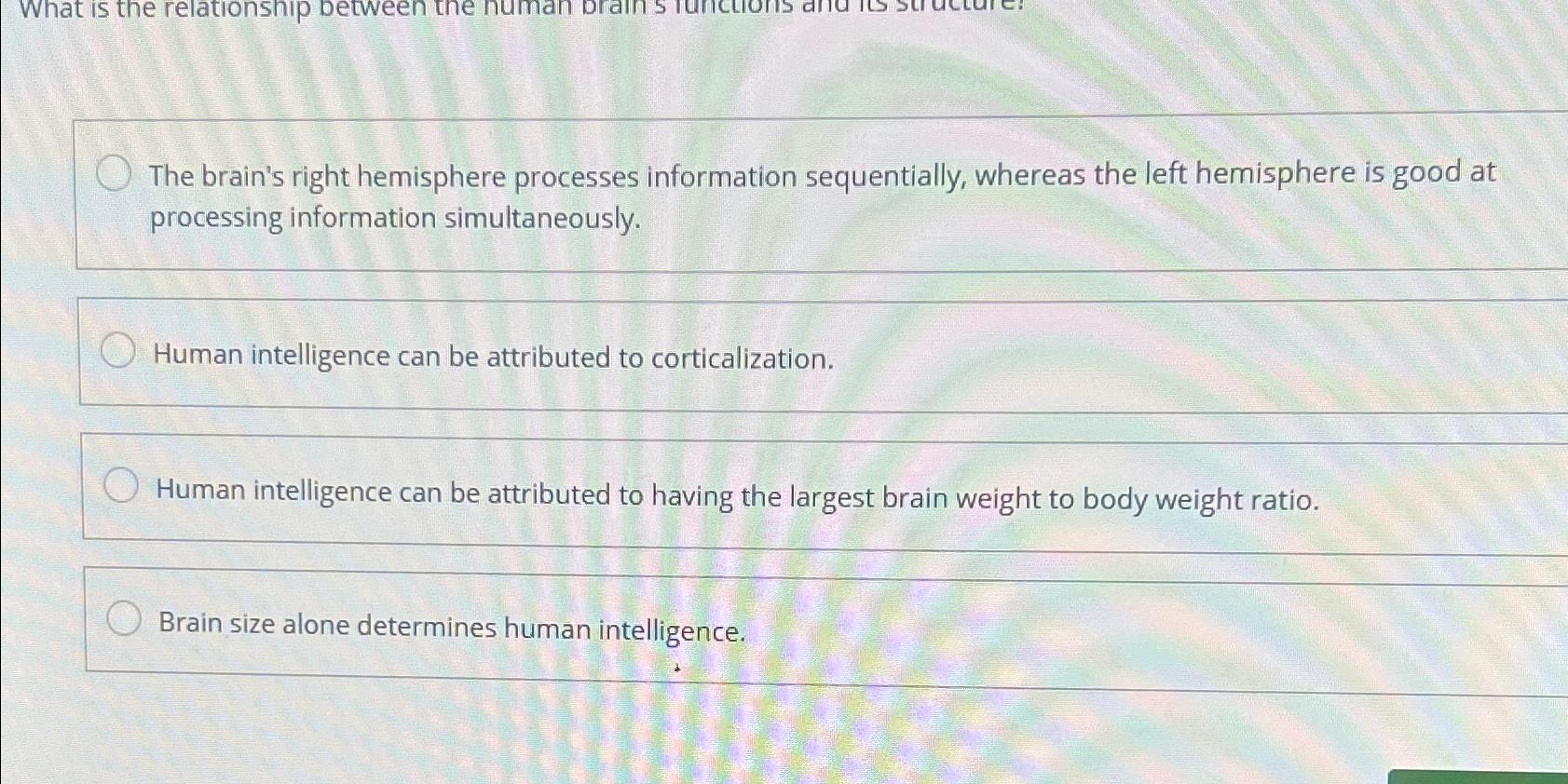 Solved The brain's right hemisphere processes information | Chegg.com