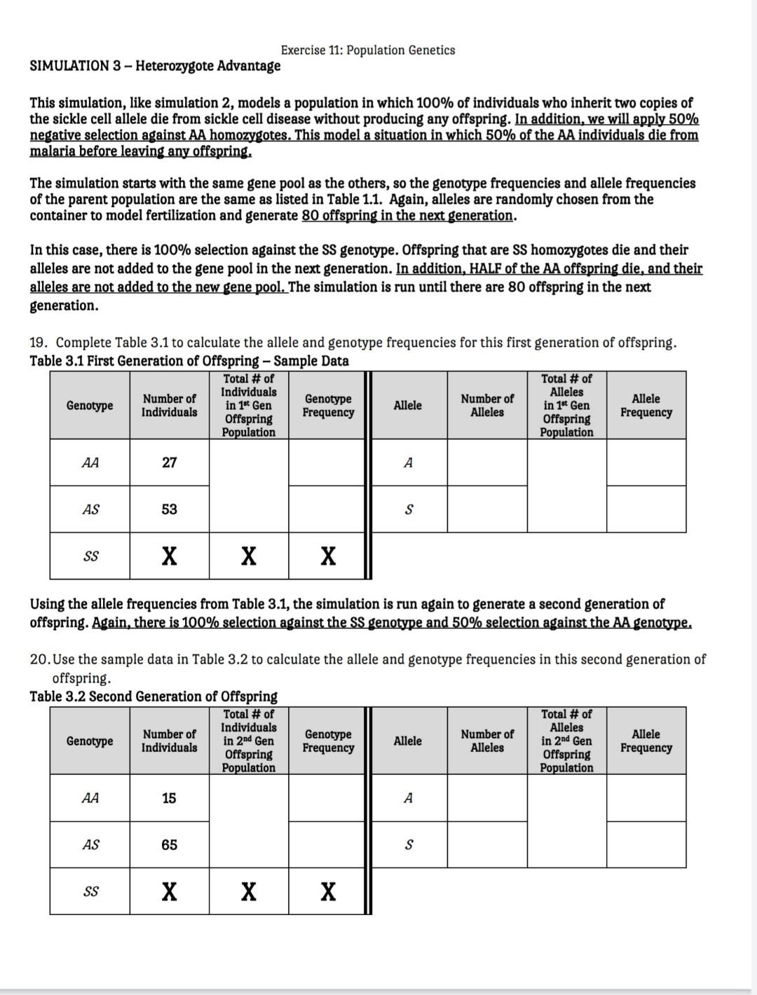 Solved Exercise 11: Population Genetics SIMULATION 3 - | Chegg.com