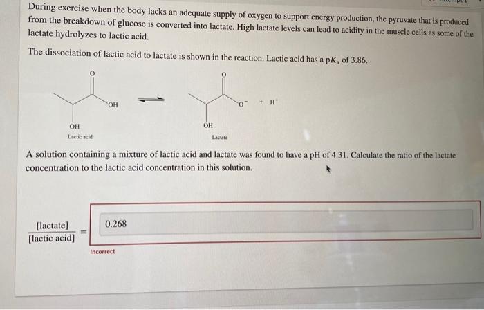 Solved During exercise when the body lacks an adequate | Chegg.com