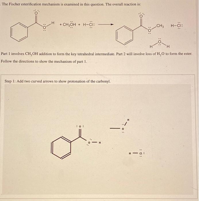 Solved The Fischer esterification mechanism is examined in | Chegg.com