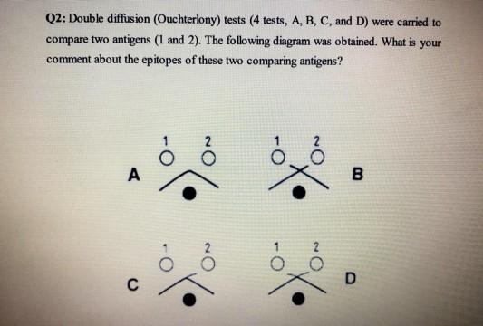 Solved Q2: Double diffusion (Ouchterlony) tests (4 tests, A, | Chegg.com