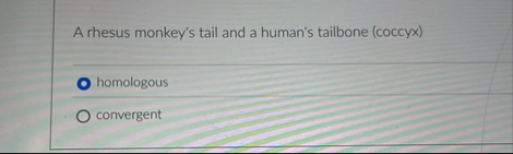 Solved A rhesus monkey's tail and a human's tailbone | Chegg.com