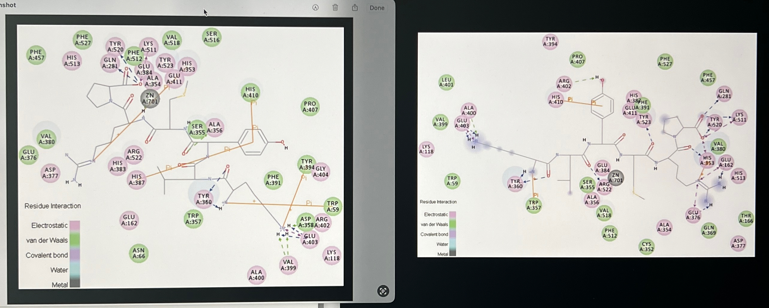Solved 2. ﻿List all the interactions between the peanut | Chegg.com