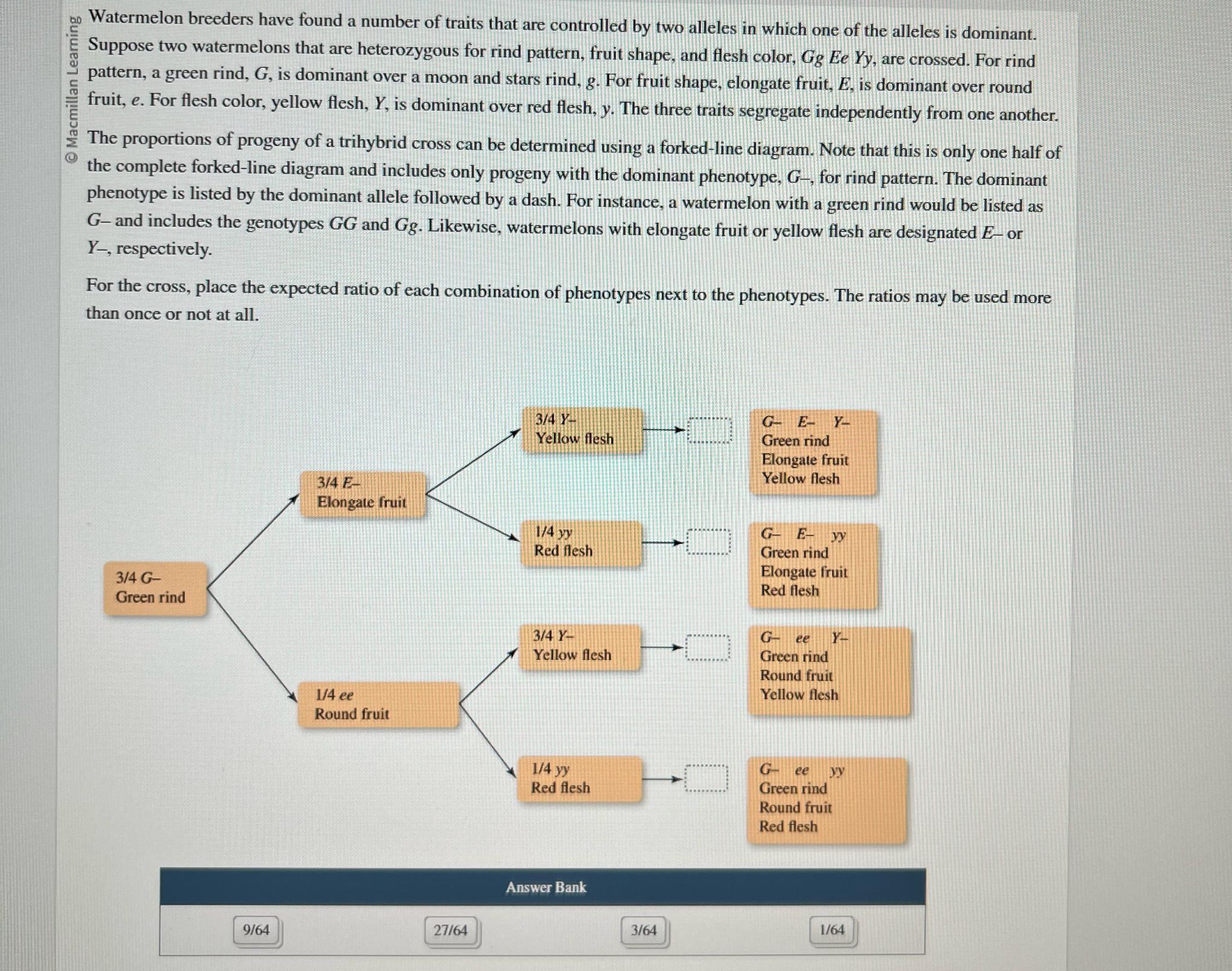 Solved Watermelon breeders have found a number of traits | Chegg.com