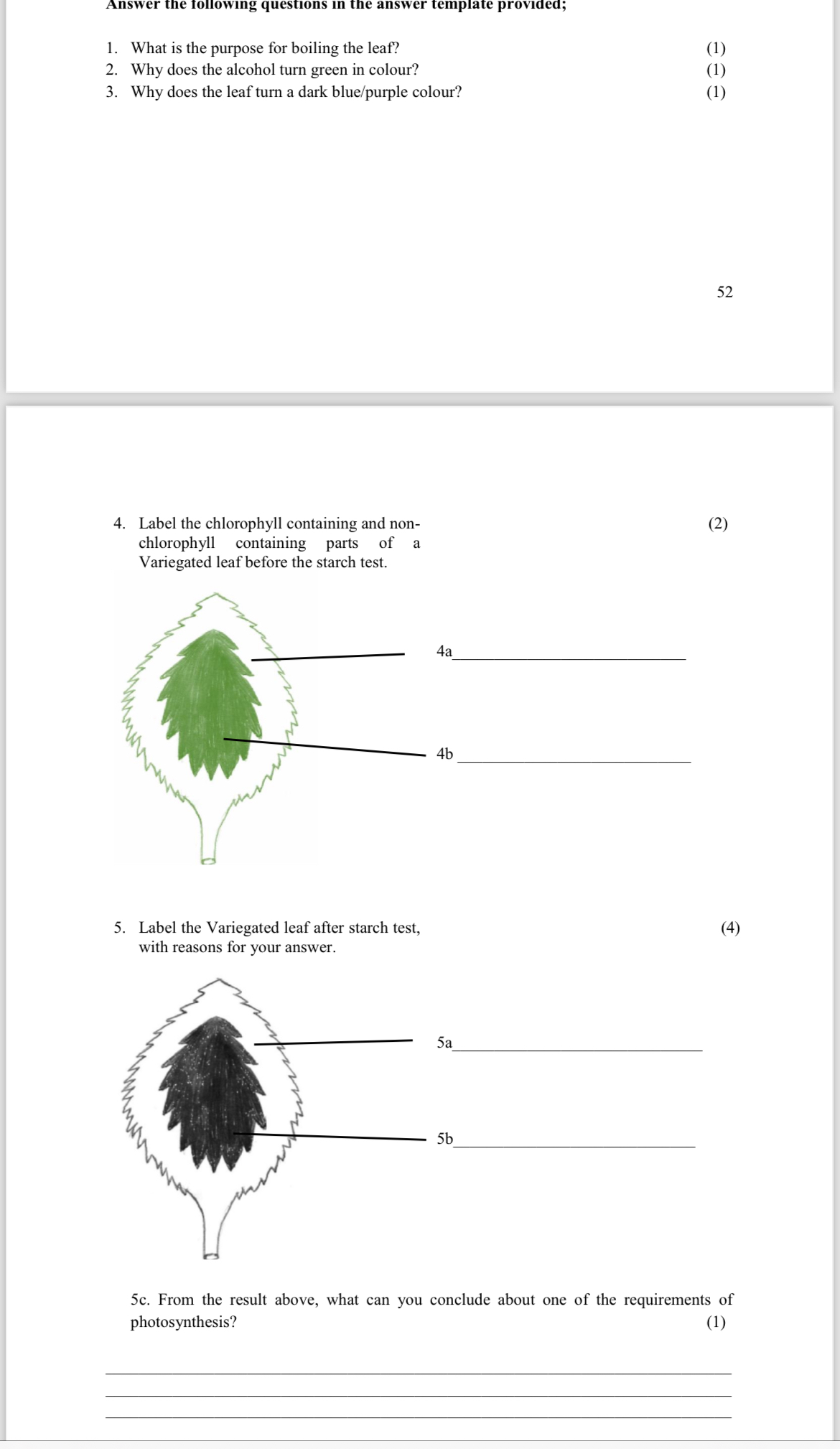 Solved What is the purpose for boiling the leaf?(1)Why does | Chegg.com