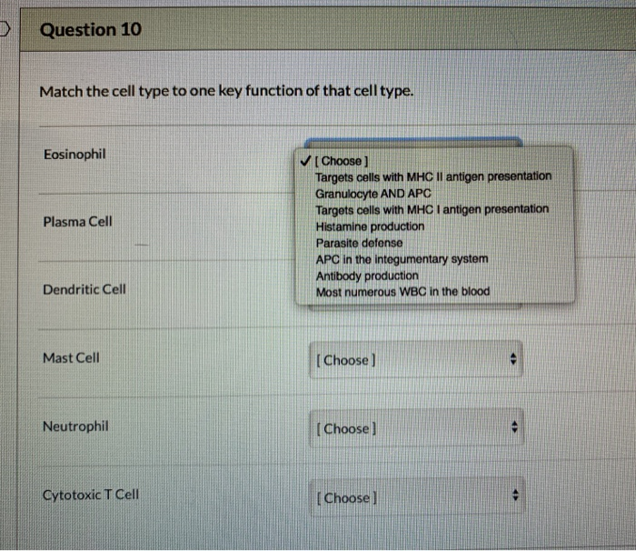 Solved Match the Cell Type to one Key Function of that cell | Chegg.com