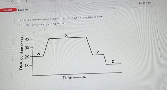 Solved The following graph shows changing DNA content in a | Chegg.com