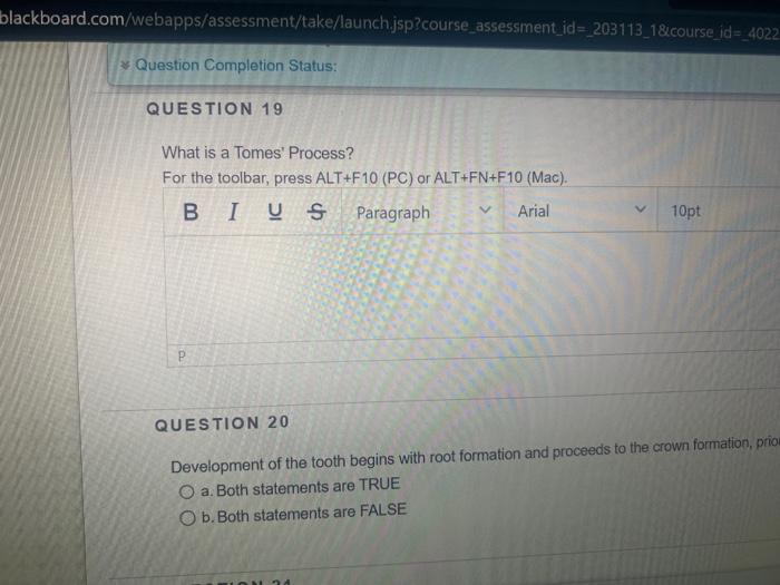 Solved What is a Tomes' Process? For the toolbar, press ALT | Chegg.com