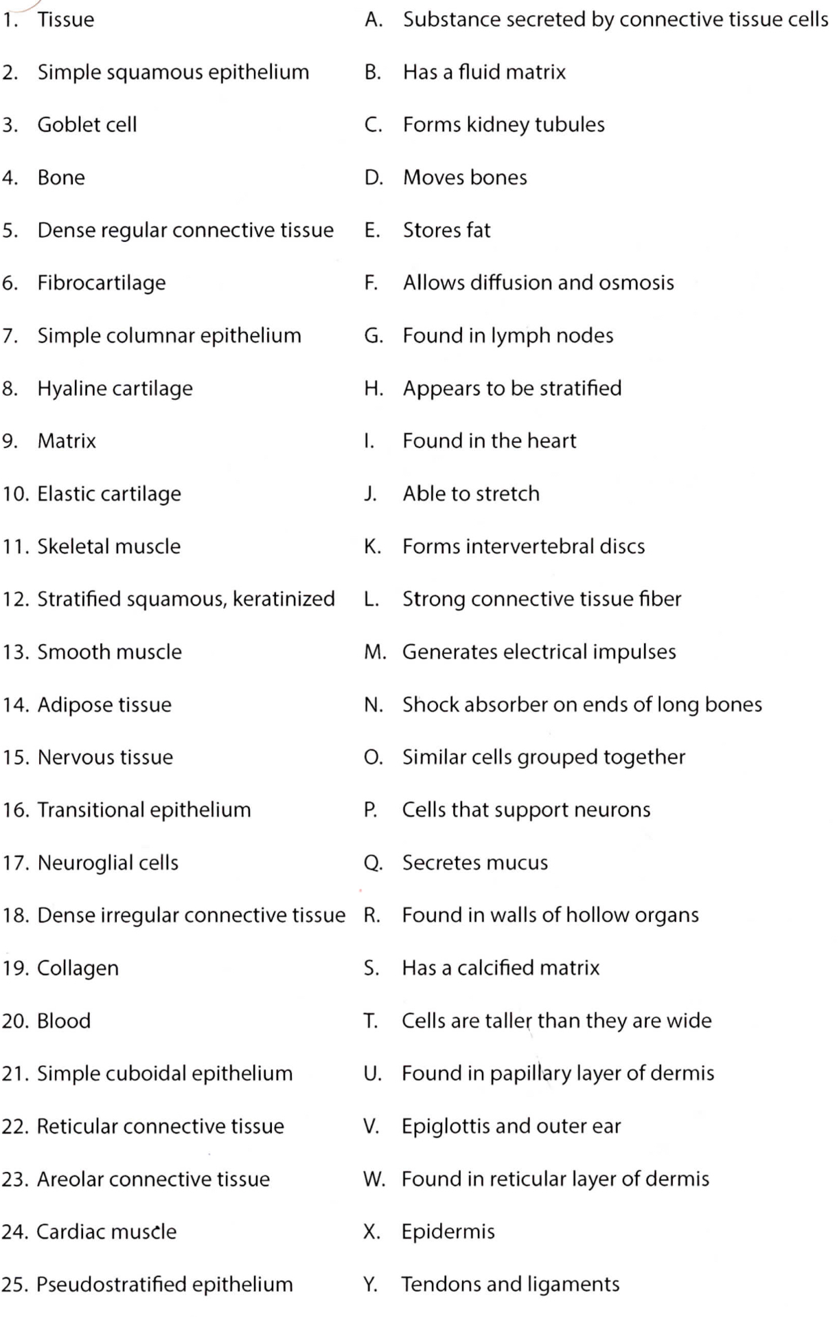 Solved TissueA. ﻿Substance secreted by connective tissue | Chegg.com