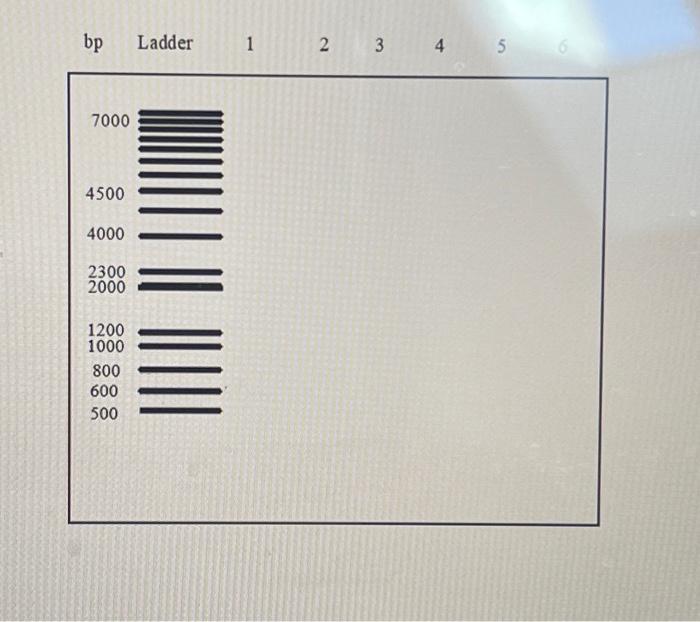 Solved hello! please only answer part 5 and 6. i just gave | Chegg.com