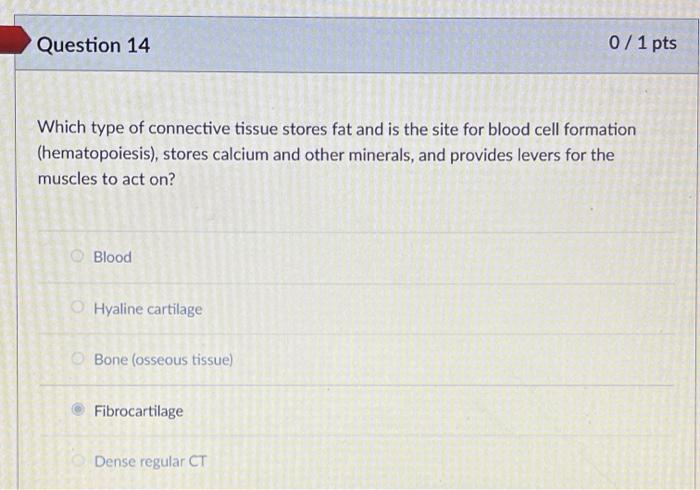 Solved Which type of connective tissue stores fat and is the | Chegg.com