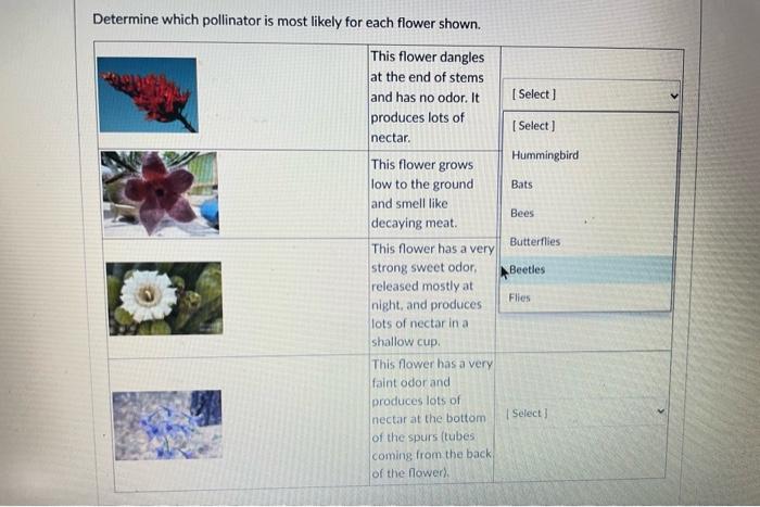 Solved Determine which pollinator is most likely for each | Chegg.com