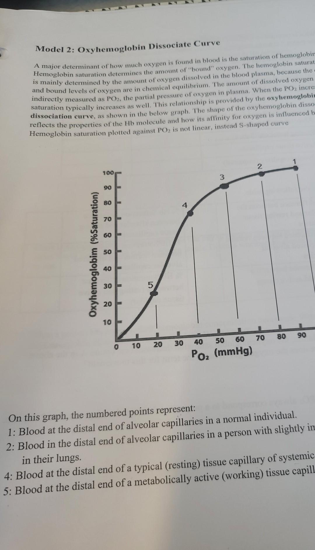 Solved Model 2: Oxyhemoglobin Dissociate Curve A major | Chegg.com