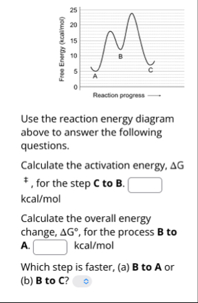 Solved Use the reaction energy diagram above to answer the | Chegg.com