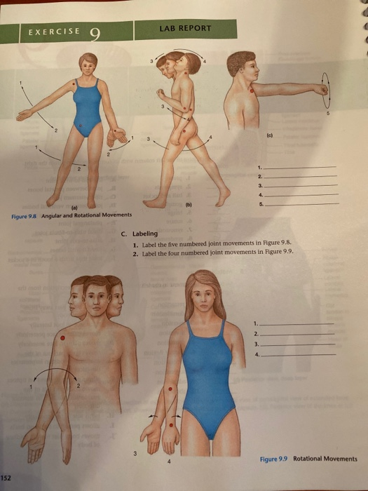 Solved EXERCISE LAB REPORT 9 (c) 1. 2. 3 4. (b 6. Figure 9.8 | Chegg.com